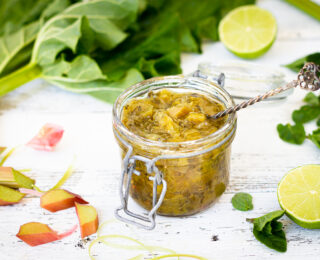 Rabarberi – mündi moos • D-kokaraamat